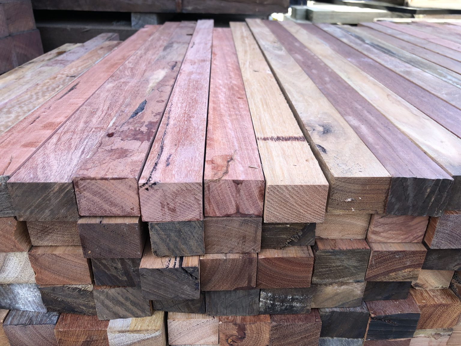 Spotted Gum Australian Hardwood for Outdoor Spaces with Feature Fencing