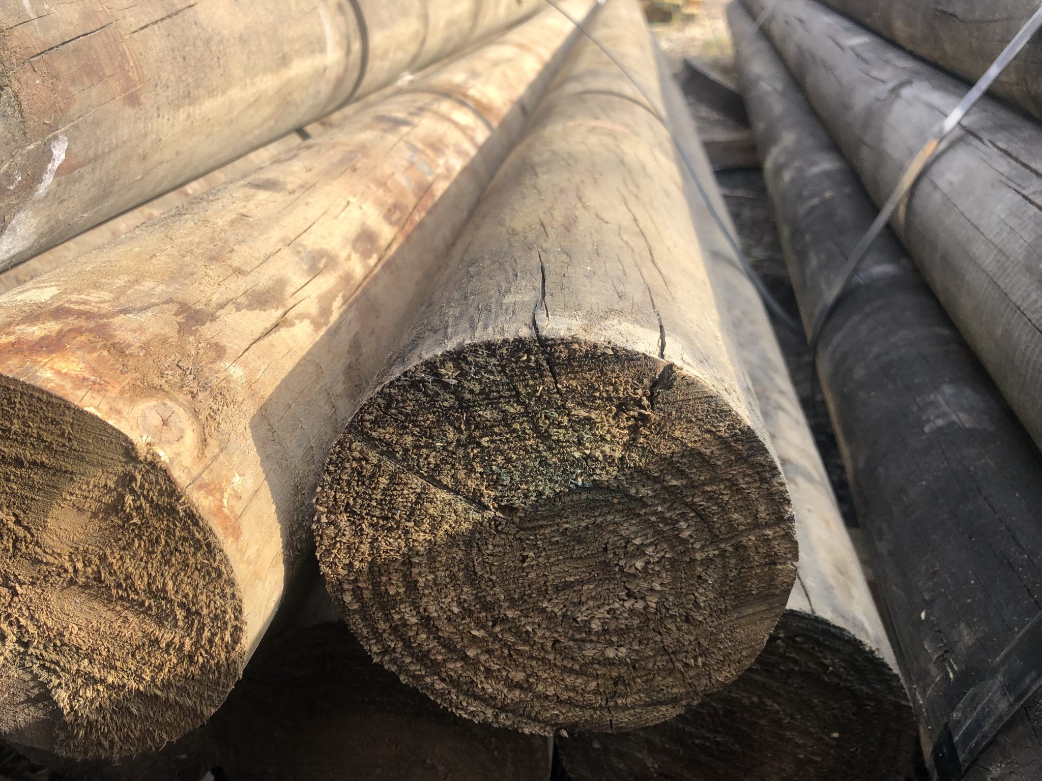 Treated Pine Machine Round Pole: A Sustainable Option for Landscaping Needs